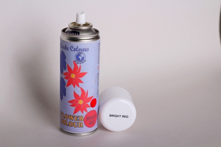 Bright Red Flower Spray Paint | DemZa